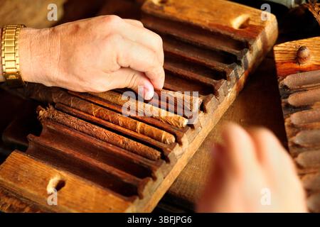 CUBA, PINAR DEL RIO, BOX OF CUBAN CIGARS Stock Photo - Alamy