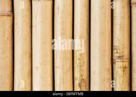bamboo cane wood texture background Stock Photo - Alamy