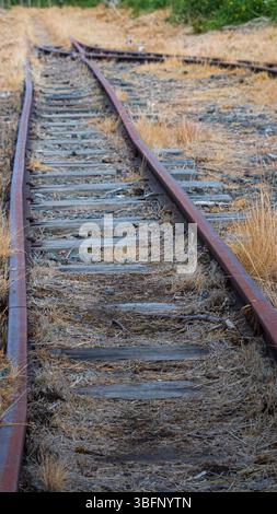 Woodhorn Colliery, disused coal mine, featuring overgrown and abandoned ...