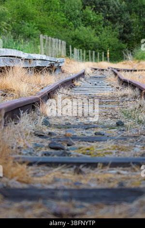 Woodhorn Colliery, disused coal mine, featuring overgrown and abandoned ...