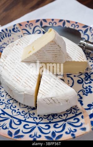 French soft cheeses collection, creamy matured cow's milk cheese roudou ...