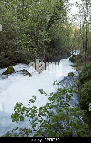 water pure and natural, that s how it should be a harmony of the senses ...