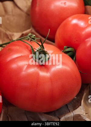 Freshly harvested tomatoes on the rustic background. Selective focus ...
