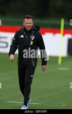 Craig Bellamy, the head coach/manager of Wales looks on. Wales v Canada ...