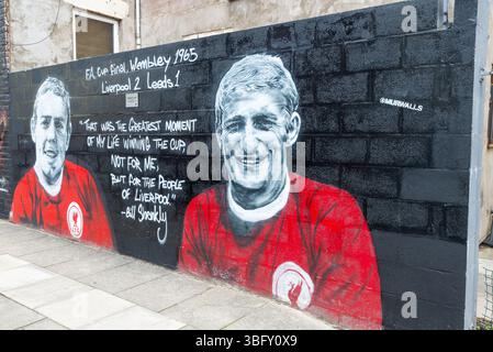 Mural of Ian St John and Roger Hunt, Liverpool FC street art, Sybil ...
