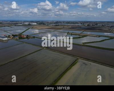 Drone view of Novara’s countryside with flooded rice fields reflecting ...