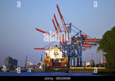 container ship at the Burchardkai container terminal, Elbphilharmonie ...