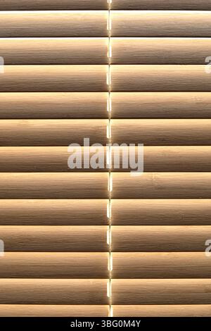 Closed up of asian bamboo wood forest, natural background. Horizontal ...