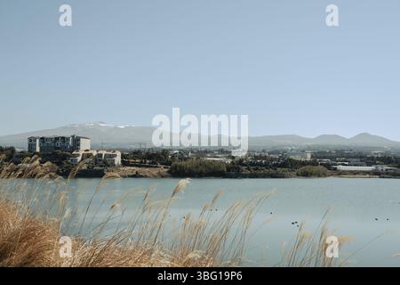 Susan reservoir and nature view in Jeju island, Korea Stock Photo - Alamy