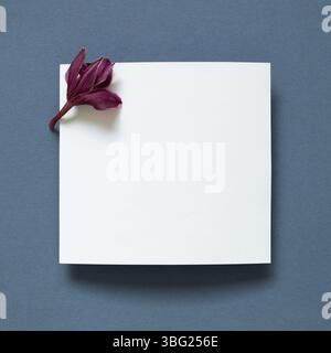 White memo pad with purple flower on navy blue background. top view ...