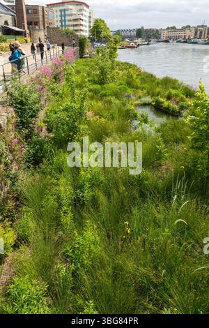 Artificial wetland plants growing on Biomatrix raft on water, Floating ...
