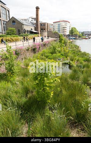 Artificial wetland plants growing on Biomatrix raft on water, Floating ...