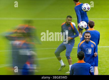 ZEIST - Ryan Gravenberch and Cody Gakpo during a training session of ...