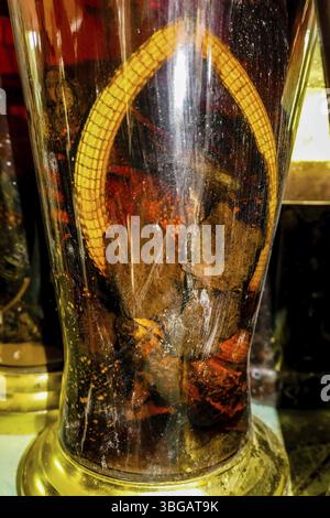 Banana soup for lunch. Healthy food Stock Photo - Alamy
