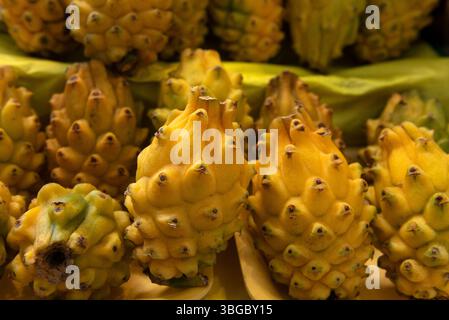 Yellow pitahaya or dragon fruit - Selenicereus megalanthus Stock Photo ...