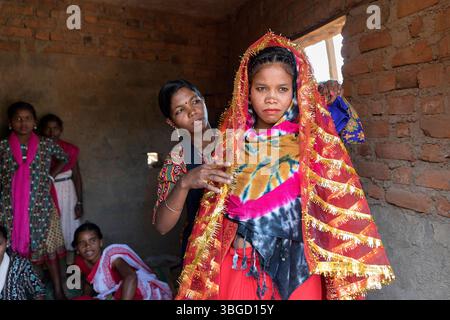 Traditional colourful wedding ceremony of gadhava tribe in orissa in ...
