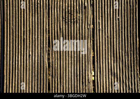 Fluted wood structure, parallel grooves in a wooden surface Stock Photo ...