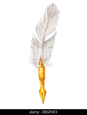hand writing with a bird feather isolated on white background Stock ...