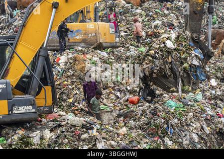 Garbage collectors searching for recyclable material at garbage ...