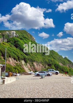 Haven Cliff, Seaton Bay, Devon, England, UK in May Stock Photo - Alamy