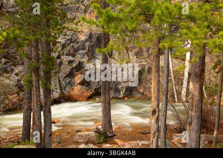 Belt Creek along Memorial Falls Trail, Kings Hill Scenic Byway, Lewis ...