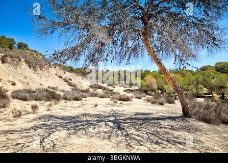 Parque El Recorral de Rojales, sand caves, nature park, landscape ...