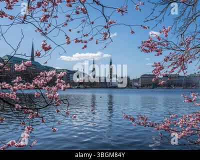 View over Hamburg's Inner Alster to the town hall Stock Photo - Alamy