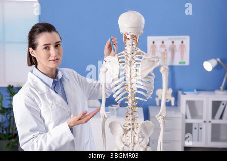 Doctor pointing at sections of human skeleton model in clinic Stock ...