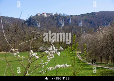 Wildenstein Castle, view from Maurus-Abzweig, Upper Danube Nature Park ...