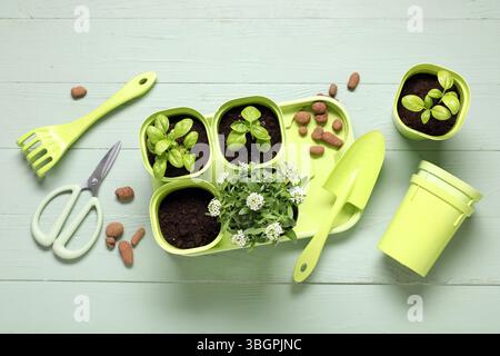 Composition with potted plants, expanded clay and gardening supplies on ...