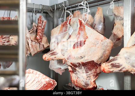 Slabs of raw beef ribs hanging in cold storage of butchery Stock Photo ...