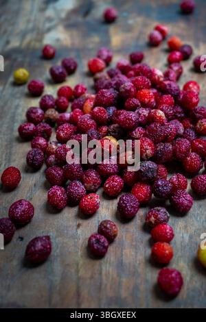 Myrica esculenta, or Kafal, is a Himalayan wild fruit with a tangy ...
