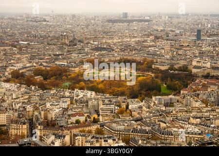 Large autumn colored park aerial panoramic view. Bright yellow trees ...