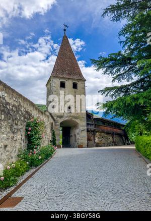 NOVACELLA ABBEY AND ITS VINEYARDS, VAHRN, EISACK VALLEY, TRENTINO-ALTO ...