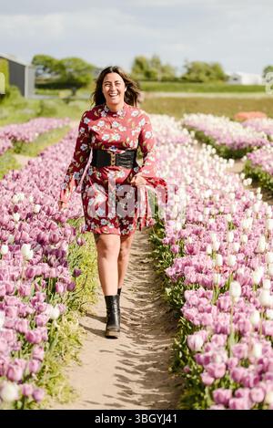Red blooming tulips in spring. Abstract natural background Stock Photo ...