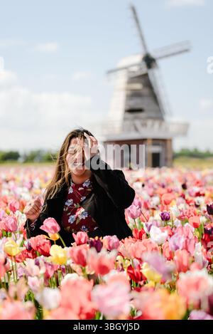 Blooming tulips flowers in as floral plant background Stock Photo - Alamy