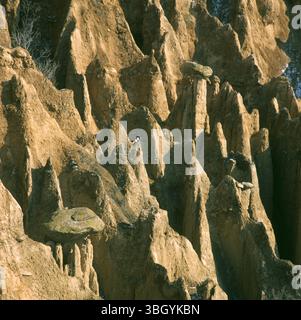 Pyramids near the village of Stob, Bulgaria. Natural attraction Stock ...