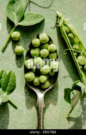 Top view of peas in the sun Stock Photo - Alamy
