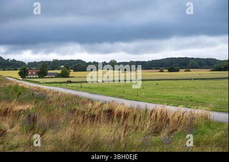 Pasture landscape with colorful grasses at the Danish countryside ...