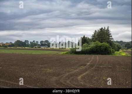 Brown soil and dark clouds at the Danish countryside around Skibinge ...