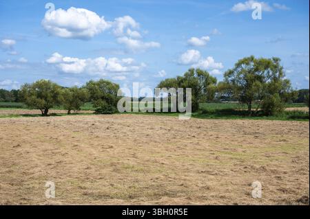 Agriculture fields at the Flemish countryside around Roksem, West ...