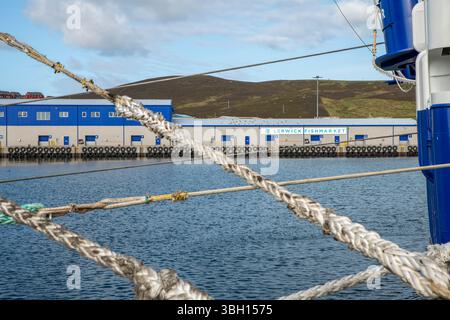 Fishing boats moored around Lerwick Fish Market at Mair's Quay ...