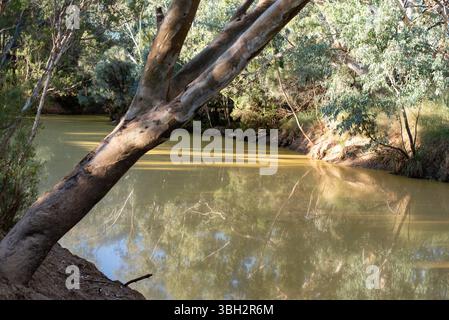 Bulloo river at Quilpie Stock Photo - Alamy