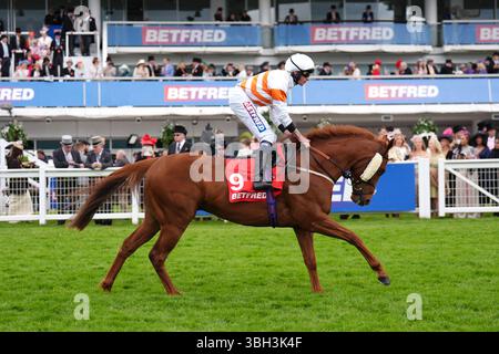 Al Hussar ridden by Harrison Shaw goes to post ahead of the Betfred 3YO ...