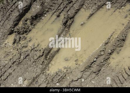Texture of mud. Wet dirt. Puddle Stock Photo - Alamy