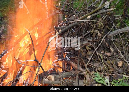 A roaring campfire with tall, dancing flames and crackling logs glowing ...