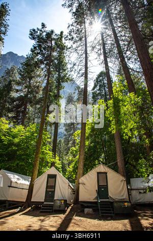 Camp Curry, Yosemite National Park, USA Stock Photo - Alamy