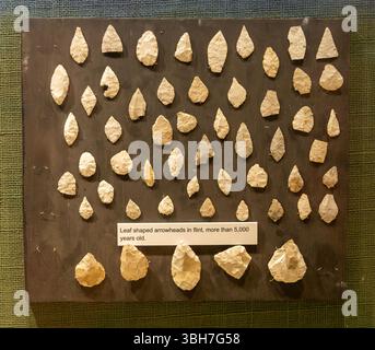 Neolithic archaeology exhibition inside Alexander Keiller Museum ...