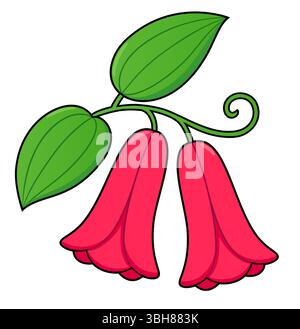 Copihue, Chilean bellflower, national flower of Chile. Illustration set ...