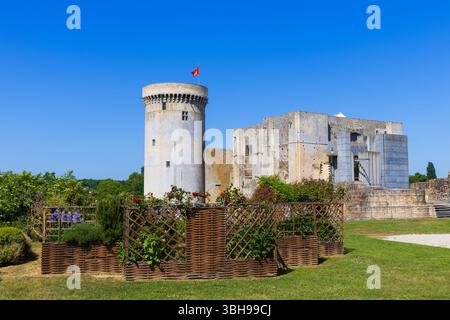 The Chateau de Falaise (12th-13th centuries), former seat of the Dukes ...